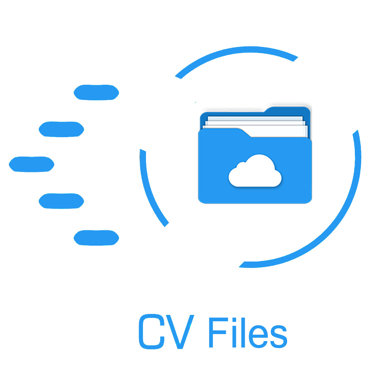 CV Files User Guide